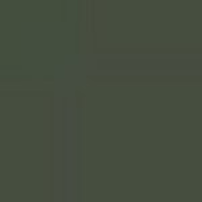 Dark Green RLM 71 / Dunkelgrun RLM 71 Enamel Paint - Hobbyshop.cz